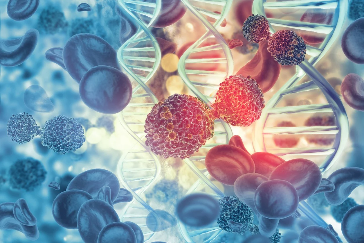 PNC-27: Structural Characterization and Tumor Cell Necrosis